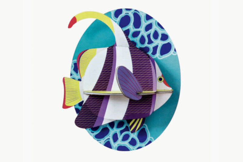 Project Cece | Studio Roof Marine Angelfish